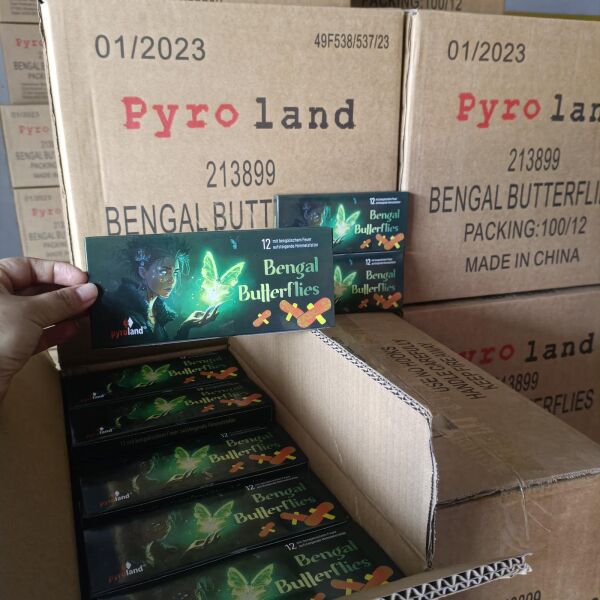 News | Bengal Butterflies, bereit zum Abheben!